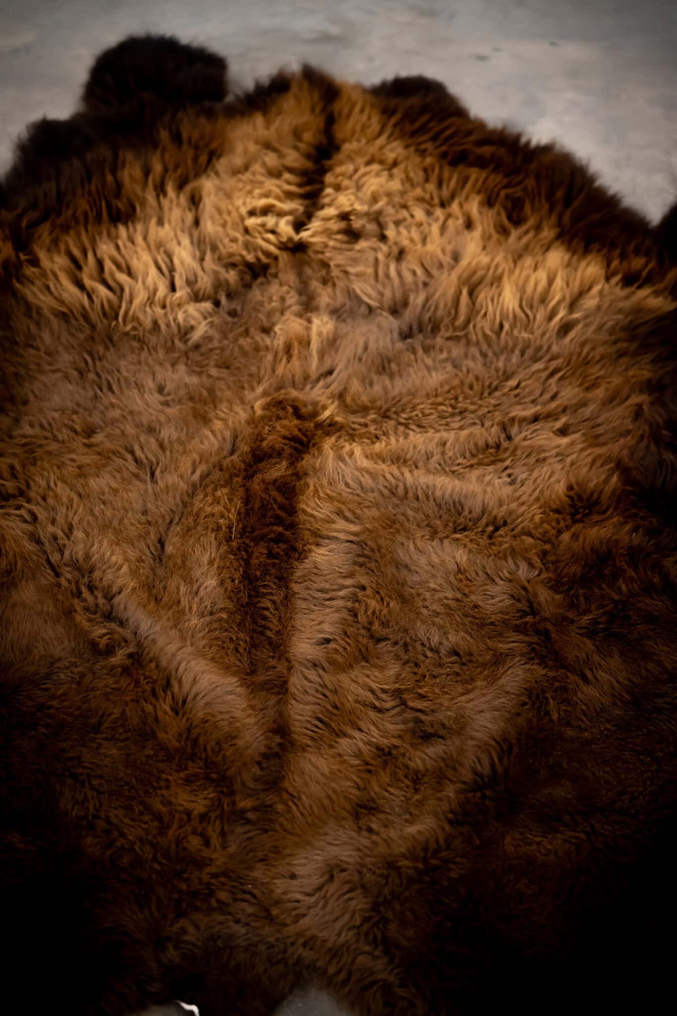Fur 1 | Petska Fur